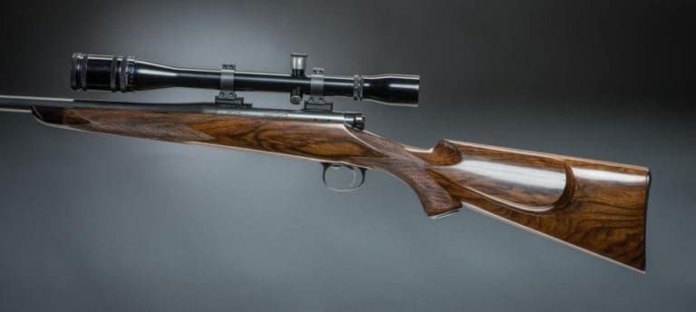 The Types of Walnut for Gunstocks: A Complete Look
