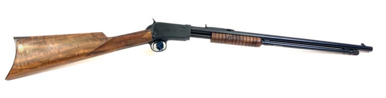 The Types of Walnut for Gunstocks: A Complete Look