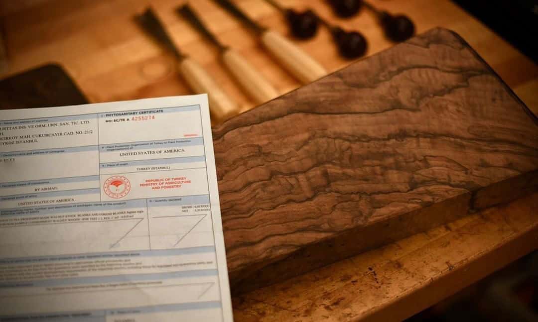 The Types of Walnut for Gunstocks: A Complete Look