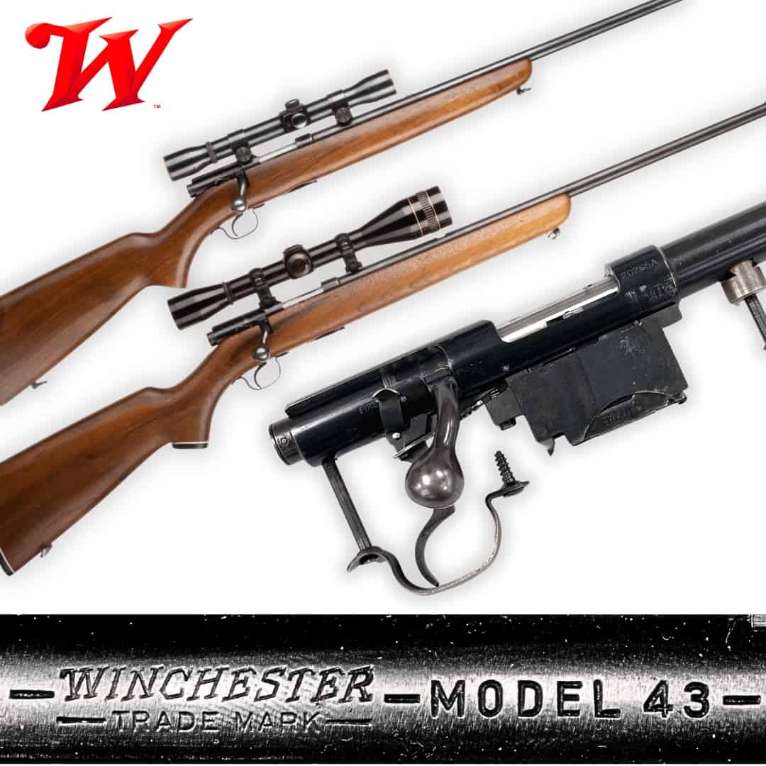 The Winchester Model 43: An Extremely Detailed Look