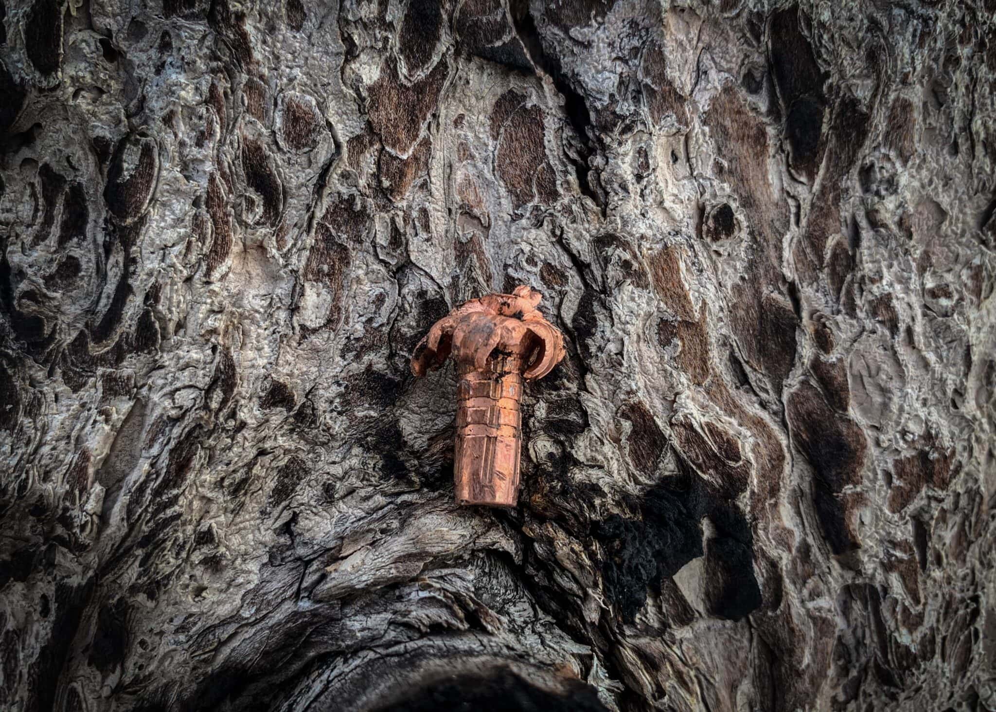 Solid Copper Bullets: Real-World Results From the Field