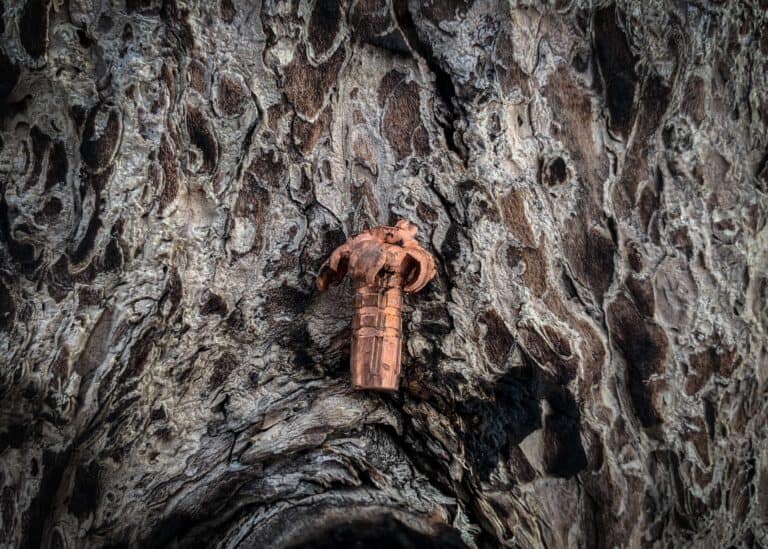 Solid Copper Bullets Real World Results From The Field